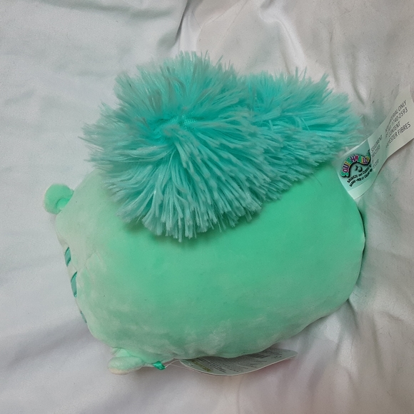 Squishmallows | Toys | 8 Squishmallows Thomas The Squirrel Htf Rare Nwt ...